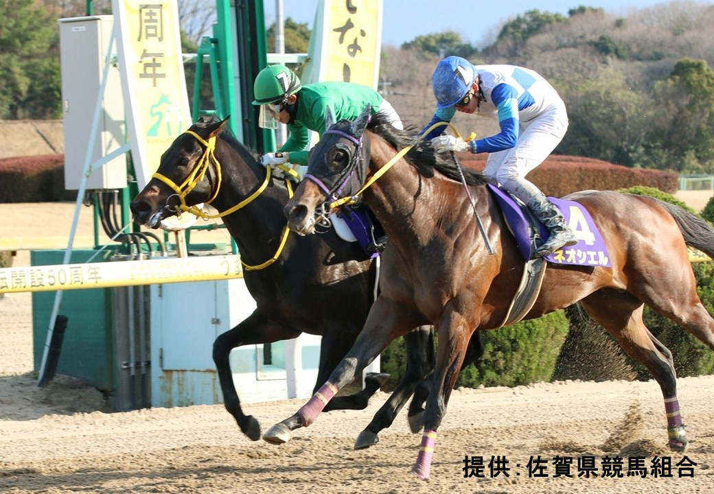 JRA育成馬日誌: 活躍馬情報（事務局）