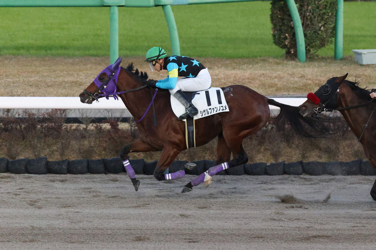 JRA育成馬日誌: 活躍馬情報（事務局）